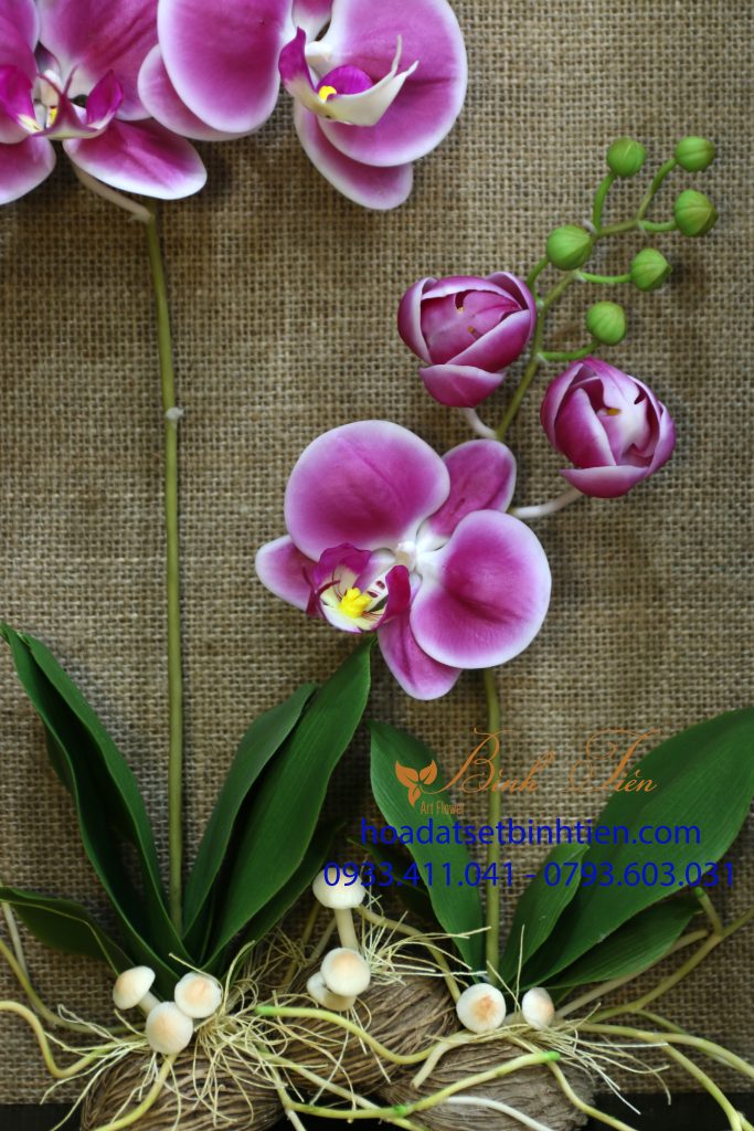 TRANH HOA ĐẤT SÉT - Tranh hoa Lan Hồ Điệp - Hoa đất sét - Hoa giấy lụa ...